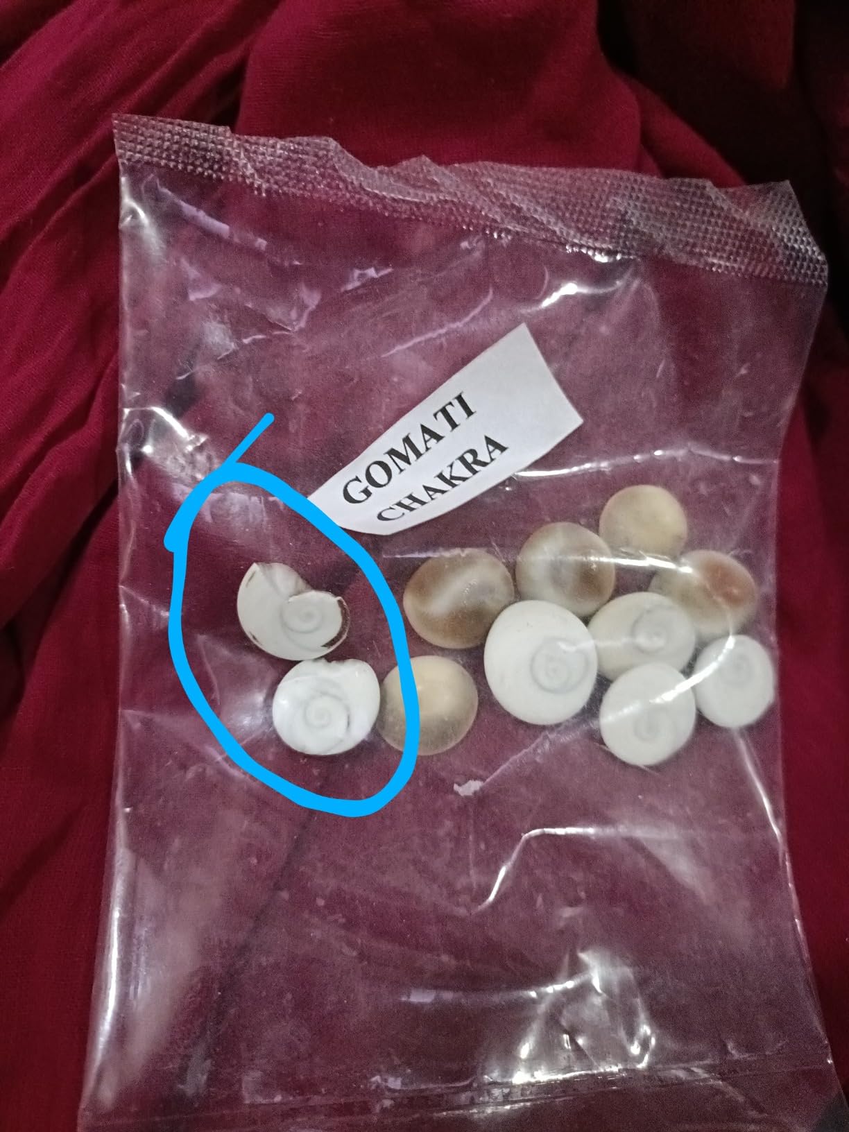 BrijBooti Combo Pack of Gomti Chakra - Pili Kaudi - Kamal Gatta - Gunja ...