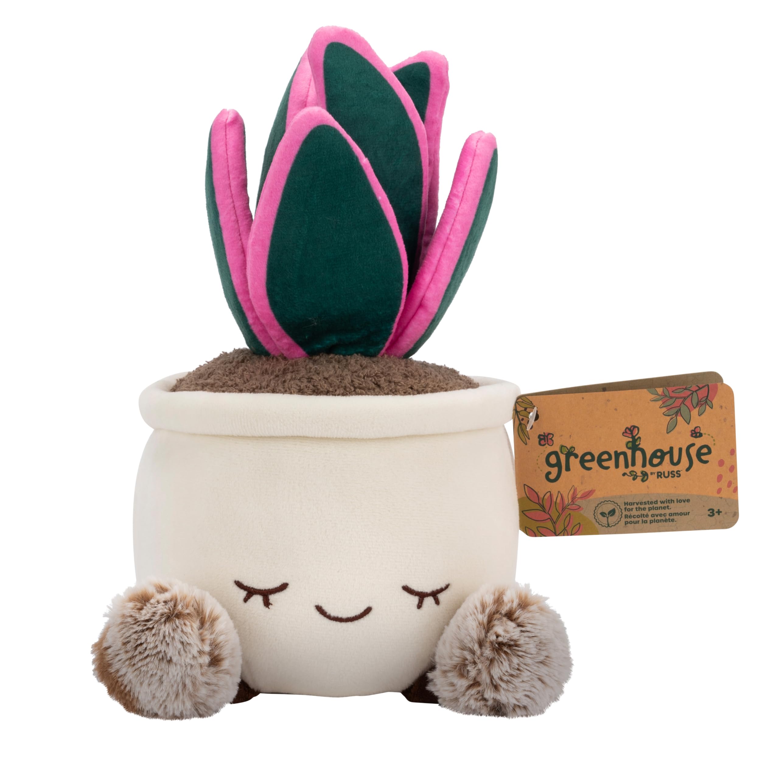 Amazon.com: Greenhouse by Russ 12-Inch Oyster Plant Plush - Ultrasoft ...