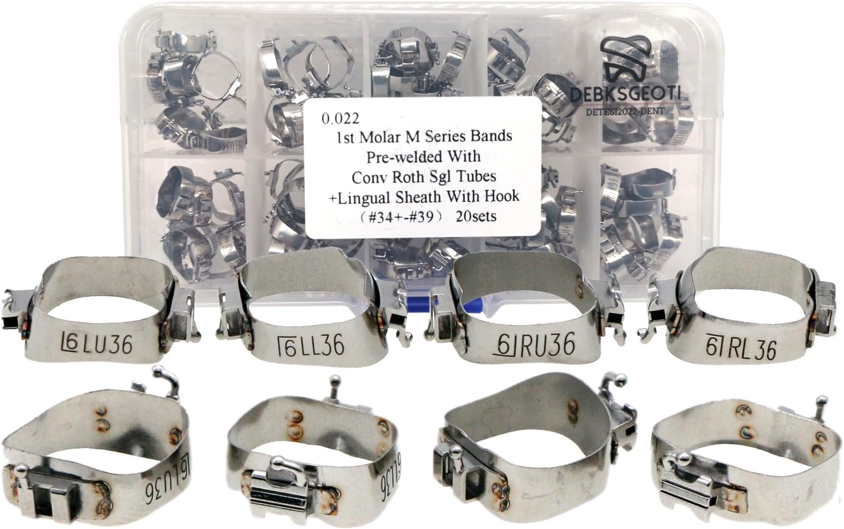 Amazon.com : Dental Models Typodont with Orthodontic Molar Bands 34 ...
