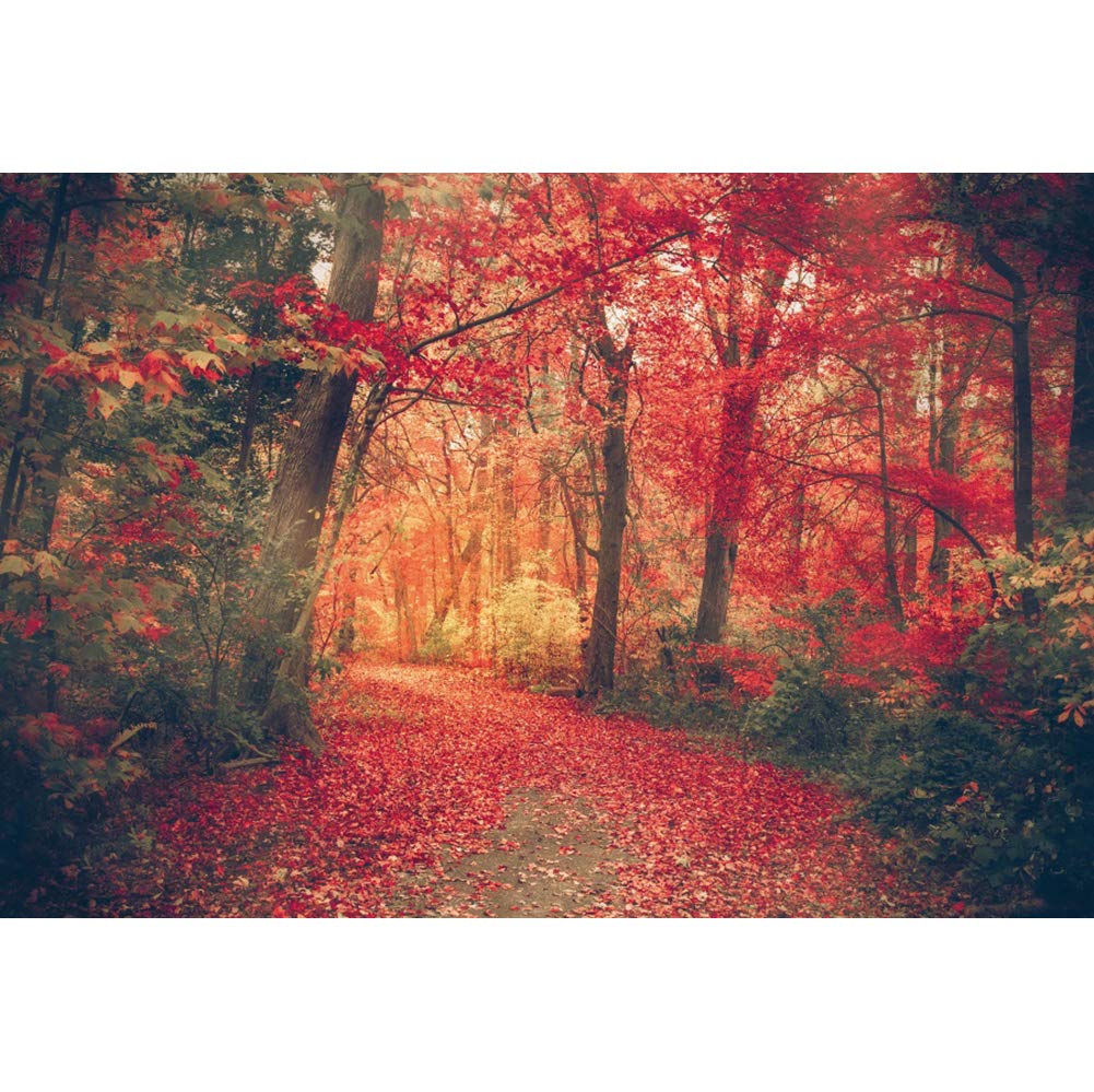 Maple Forest Wallpaper