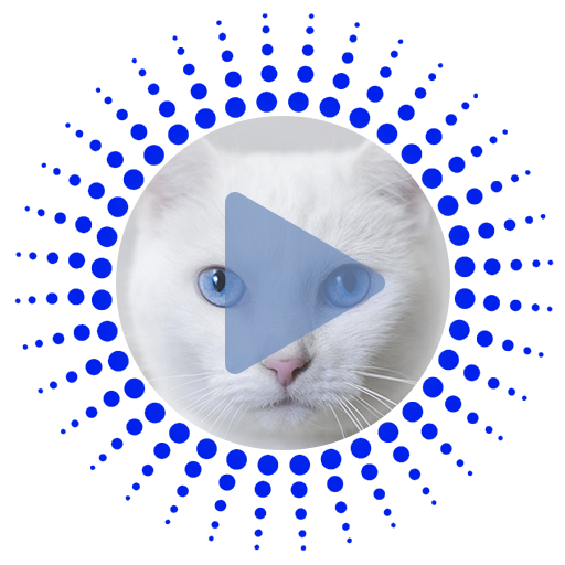 Cat Sounds and Ringtones - App on Amazon Appstore