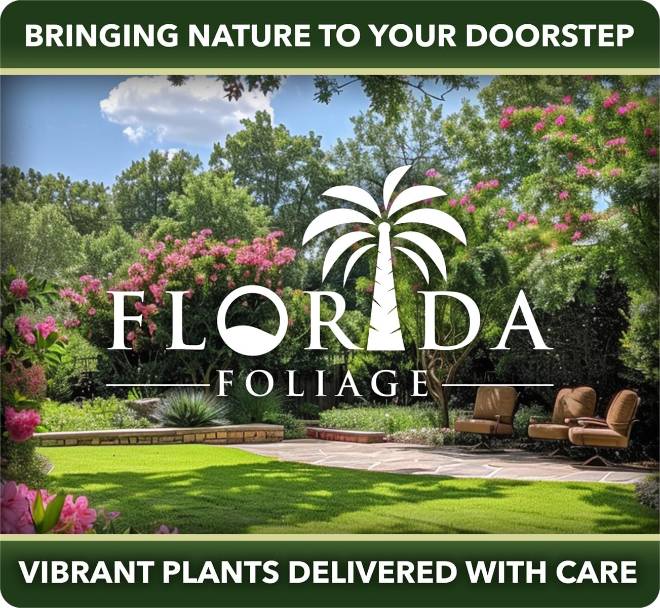 Italian Cypress Tree | 1 Large Gallon Size Tree | Philippines | Ubuy