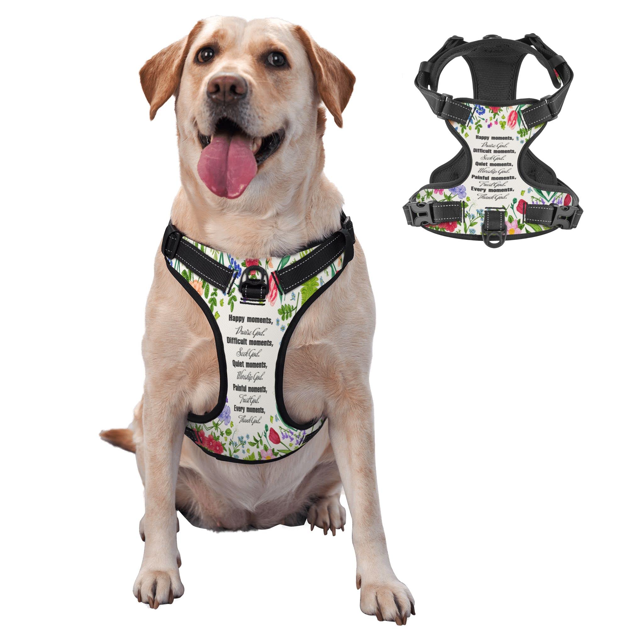 Are There Religions That Worship Dogs
