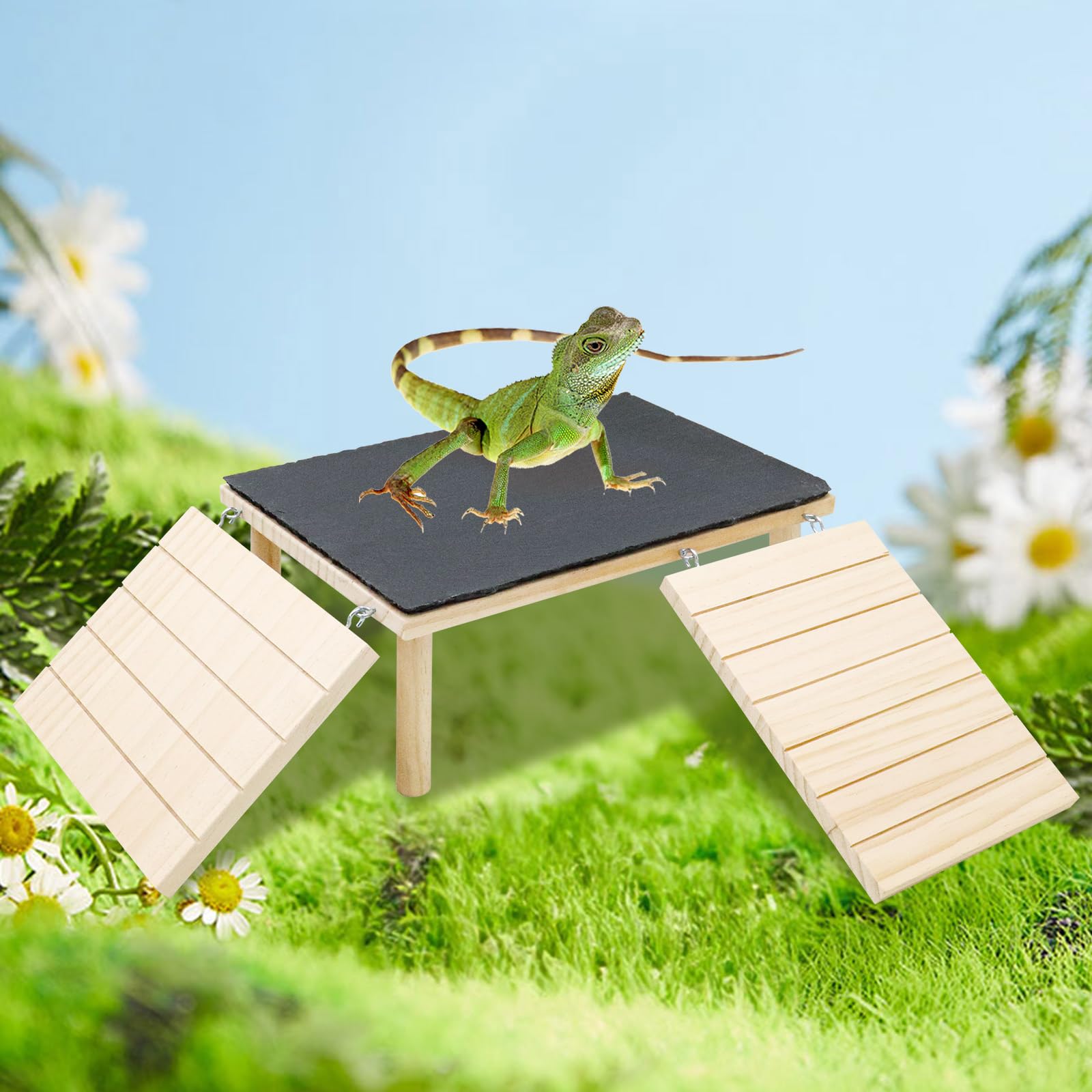 Snapklik.com : Bearded Dragon Basking Platform, Wooden + Rock Plate ...