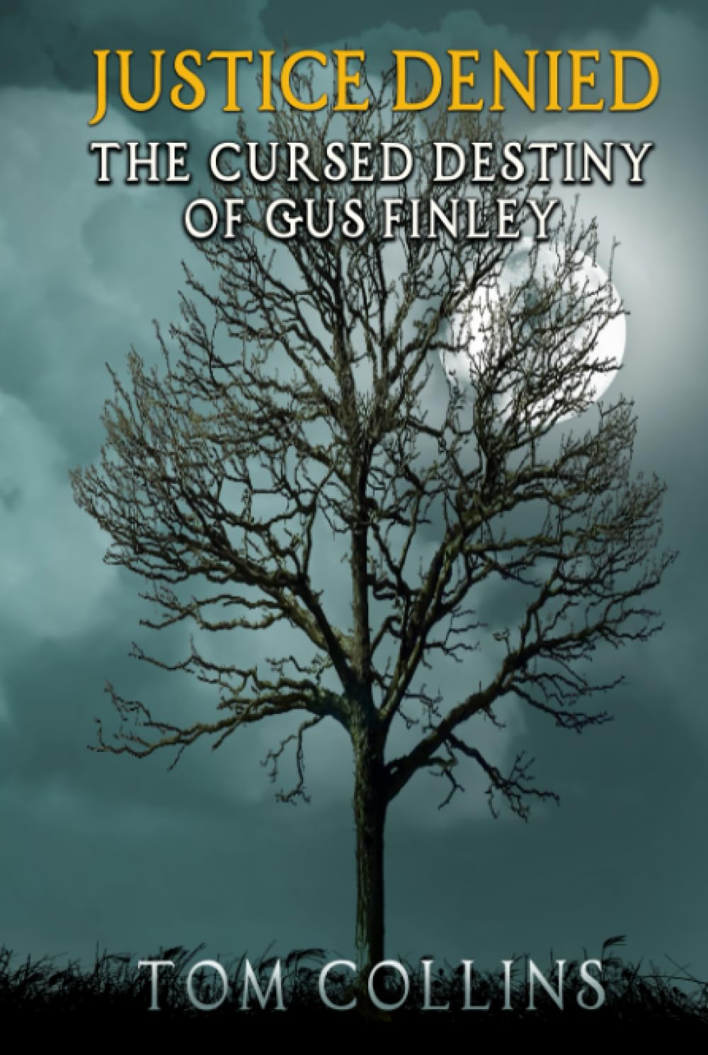 Amazon.com: Justice Denied: The Cursed Destiny of Gus Finley ...
