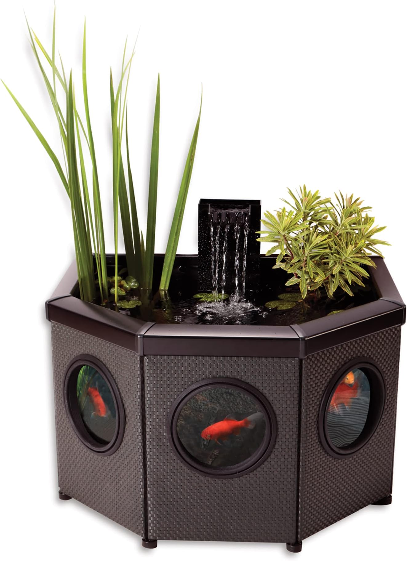 Blagdon Affinity View Half-Moon Living Water Feature Patio Pool Pond ...