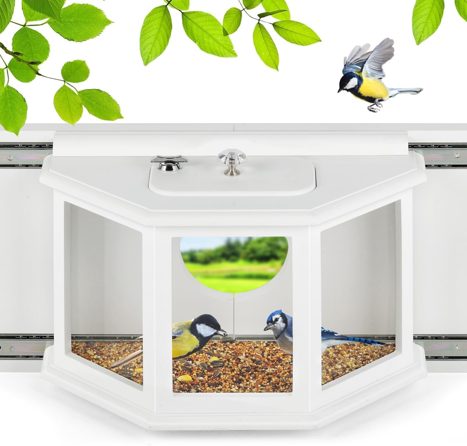 Amazon.com : YORKING Window Bird Feeder, 180° Clear Bird Feeders for ...