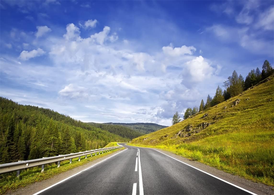 Amazon.com : BELECO 12x8ft Fabric Mountain Road Backdrop Blue Sky Green ...