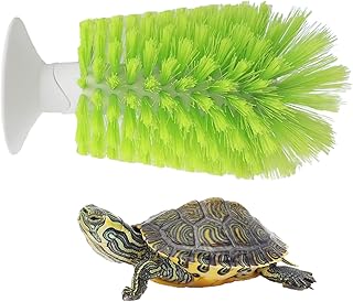 The Turtle Shell's Intricate Design: A Study Of Shute Patterns | PetShun