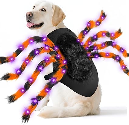 Amazon.com : Camlinbo 24 LED Spider Dog Halloween Costume for Small ...