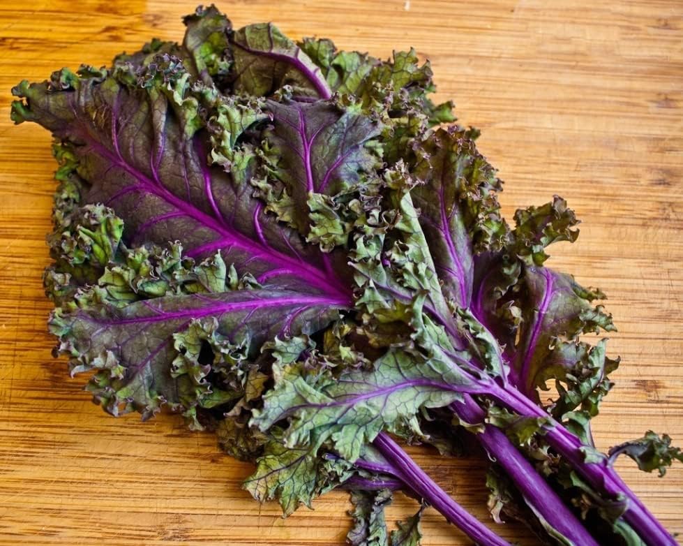 500 semillas de col rizada rusa roja para plantar reliquia no ...