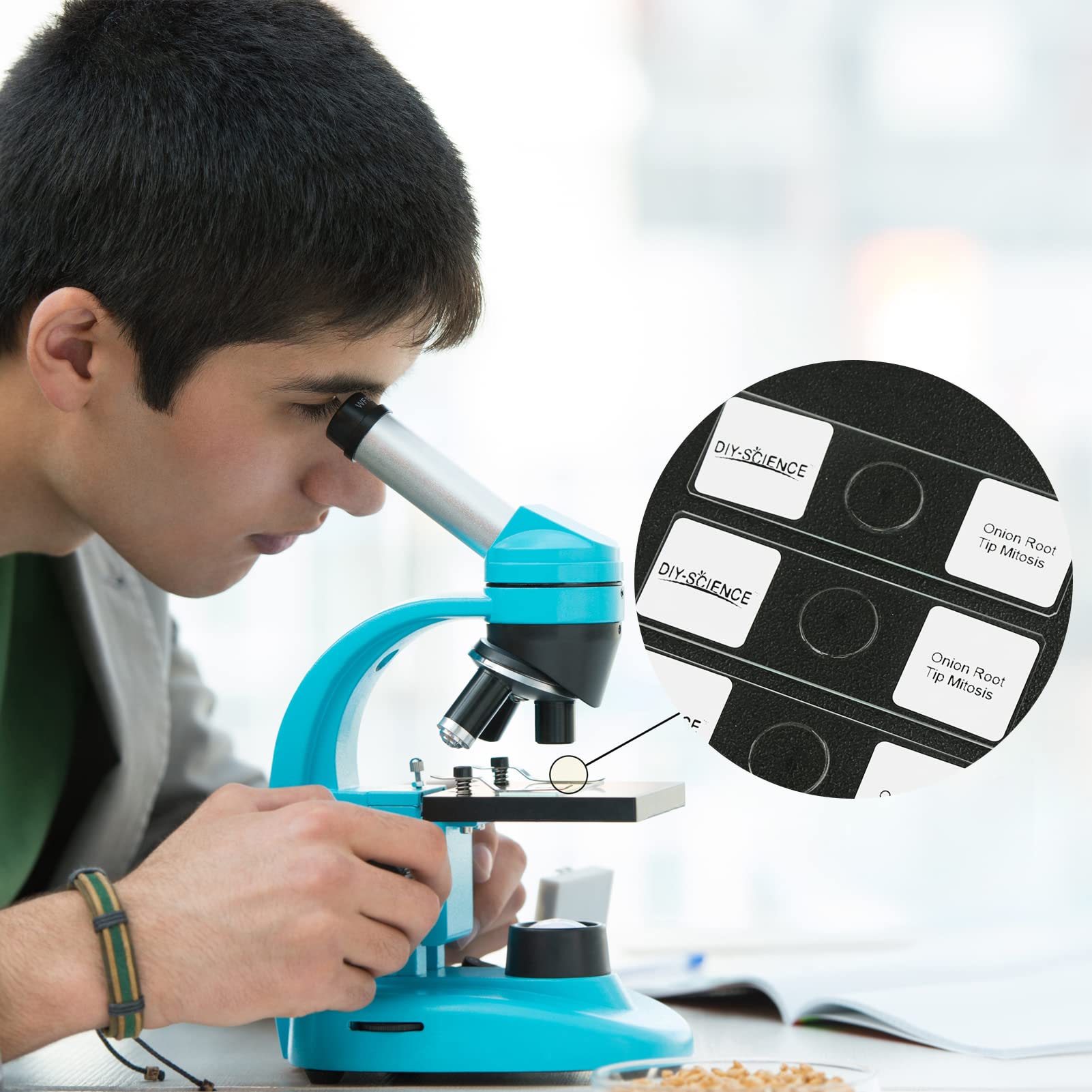 Snapklik.com : Onion Root Tips Cell Mitosis Microscope Slides Set, 5pcs ...