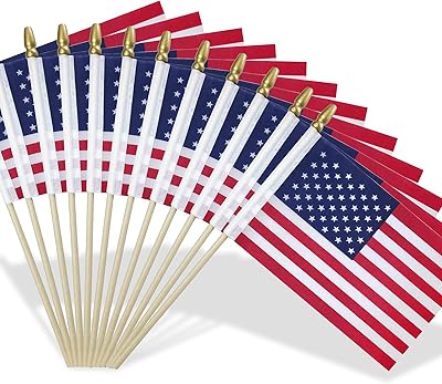 Amazon.com : 100 Packs of Small American Flags on Sticks, 8 x 12 Inches ...