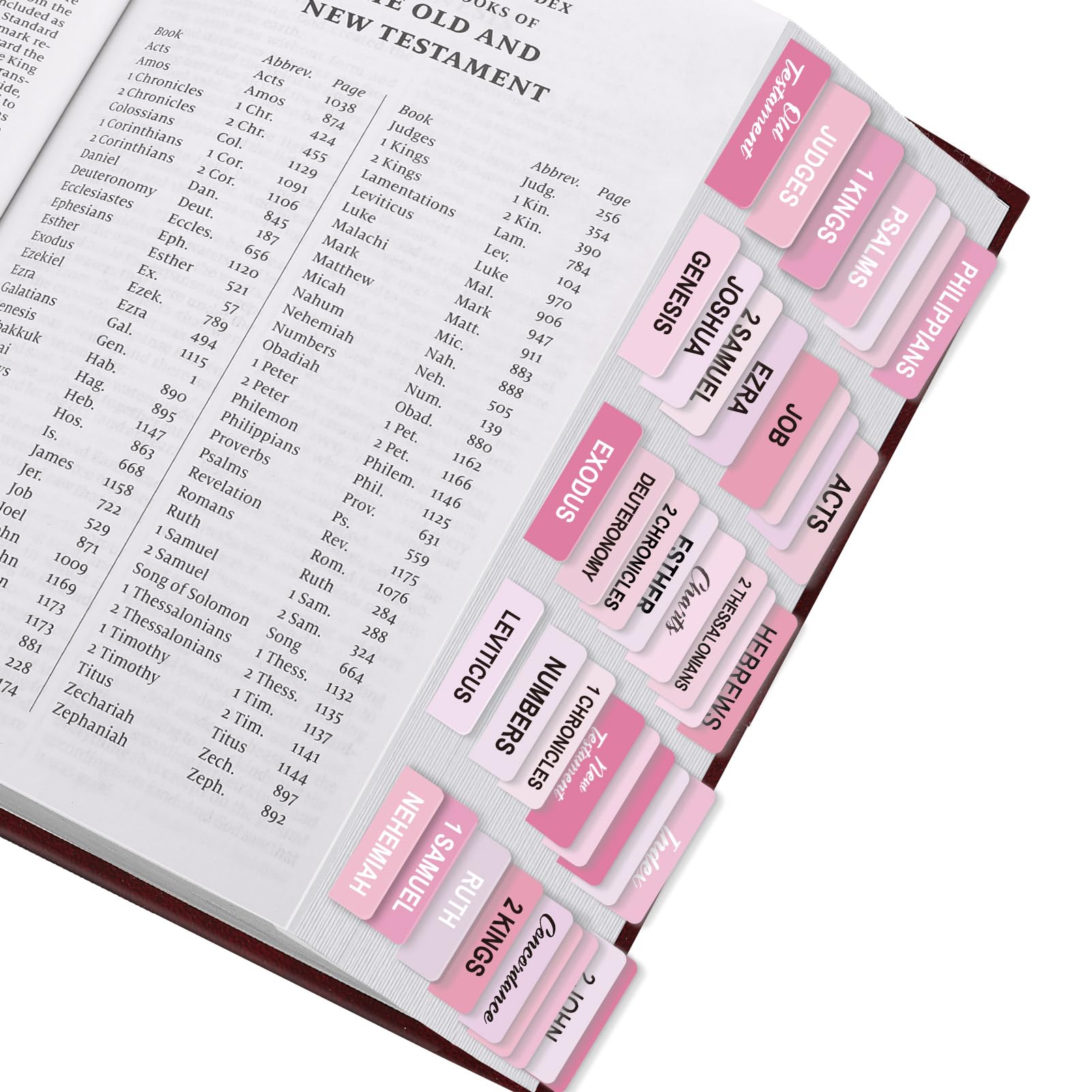 Snapklik.com : Bible Tabs, 100 Tabs, Laminated Bible Tabs For Women And ...