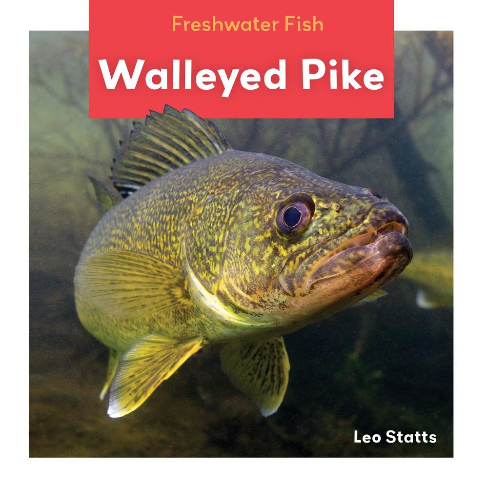 Walleyed Pike (Freshwater Fish): Statts, Leo: 9781532122934: Amazon.com ...