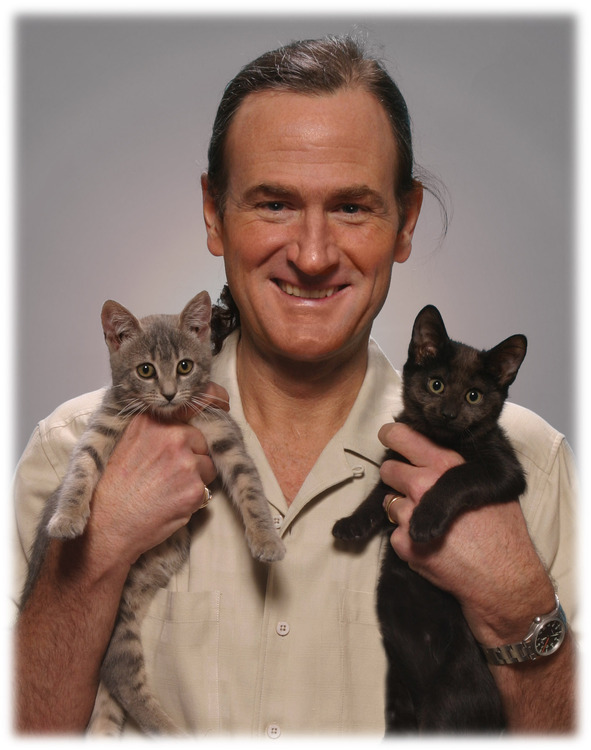 Amazon.com.br: David B. Mattingly: books, biography, latest update