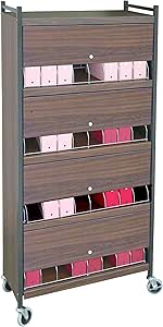 Amazon.com: Omnicart Mobile Chart Rack with Lockable Doors, Shelves ...