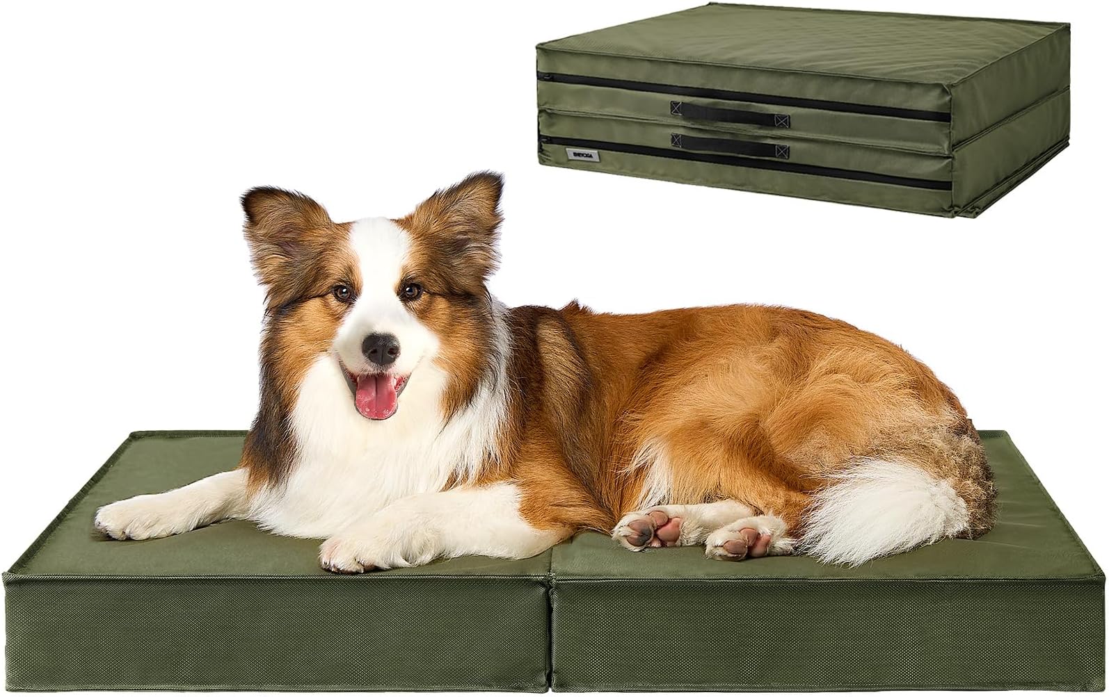 Amazon.com : Coleman Large Dog Bed for Travel, Roll Up Foldable ...