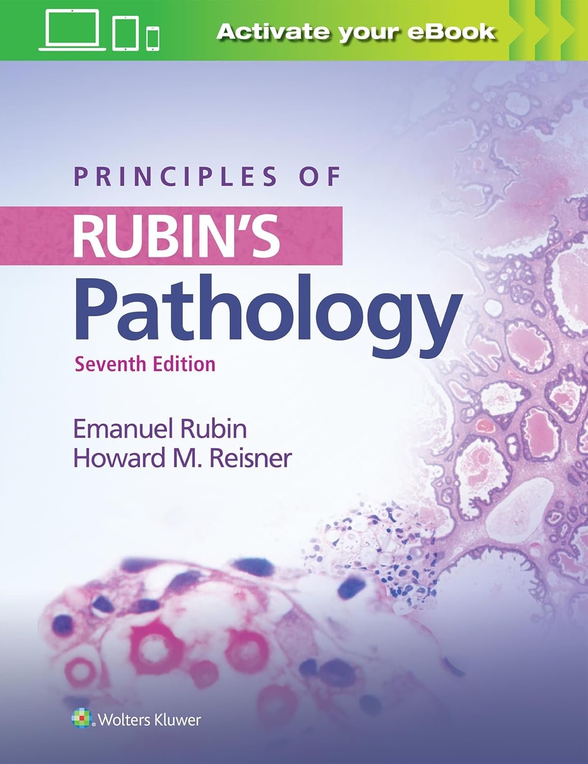 Principles of Rubin's Pathology: 9781496350329: Medicine & Health ...