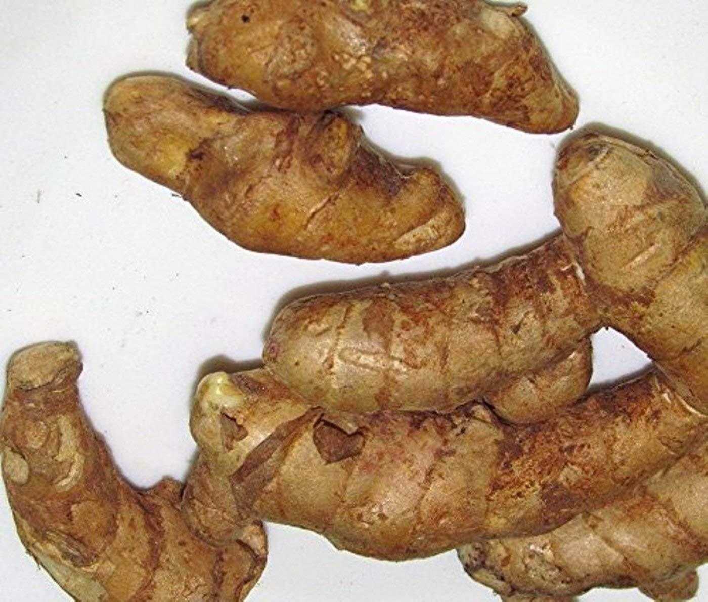 Xetomos Fresh Amba Haldi Curcuma Amada Mango Ginger for Plantation (150 ...