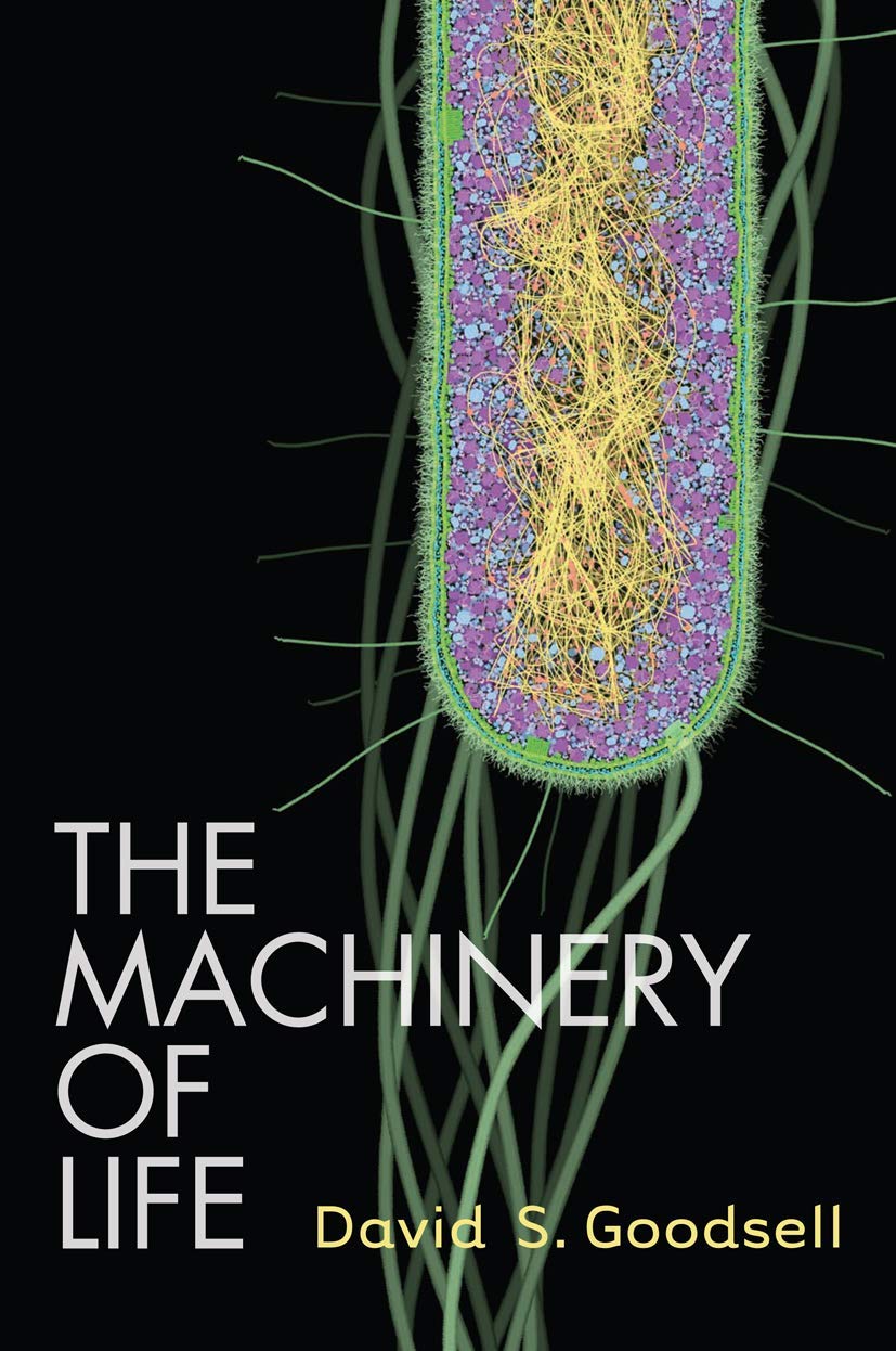 The Machinery of Life: Goodsell, David S.: 9780387849249: Amazon.com: Books