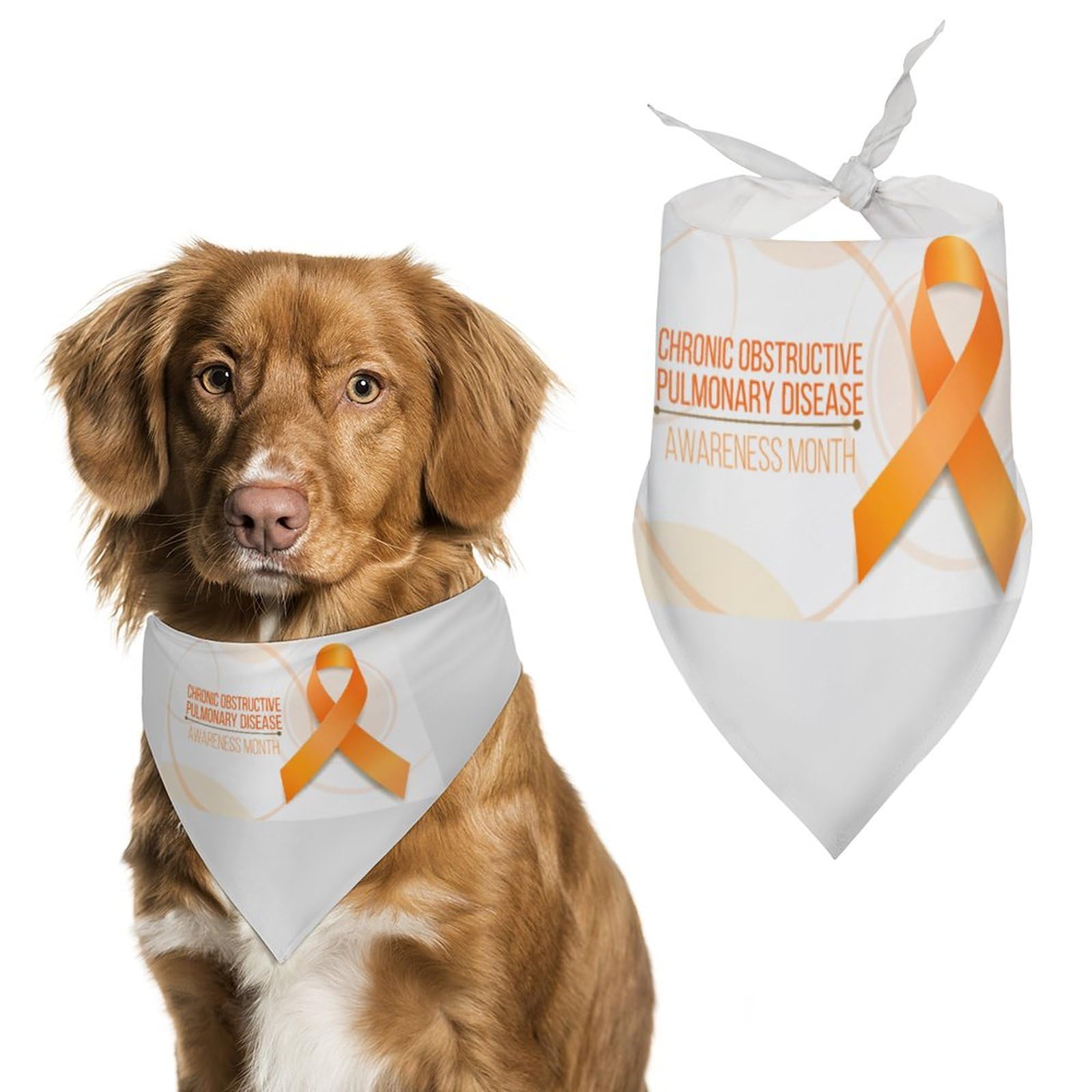 Chronic Obstructive Pulmonary Disease In Dogs