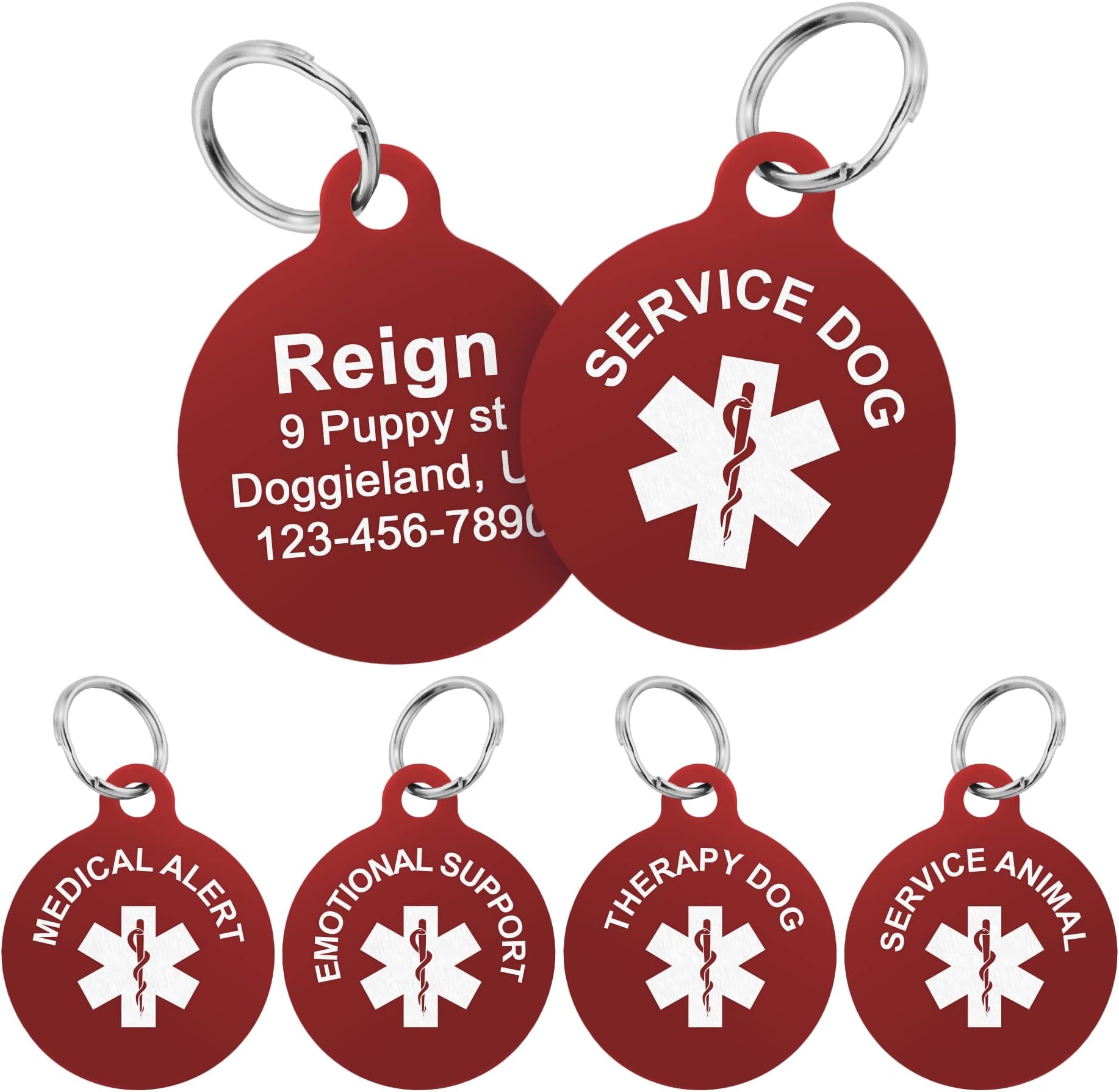 Amazon.com: Medical Alert Dog Cat Pet ID Tag - "I Need A Special Diet ...