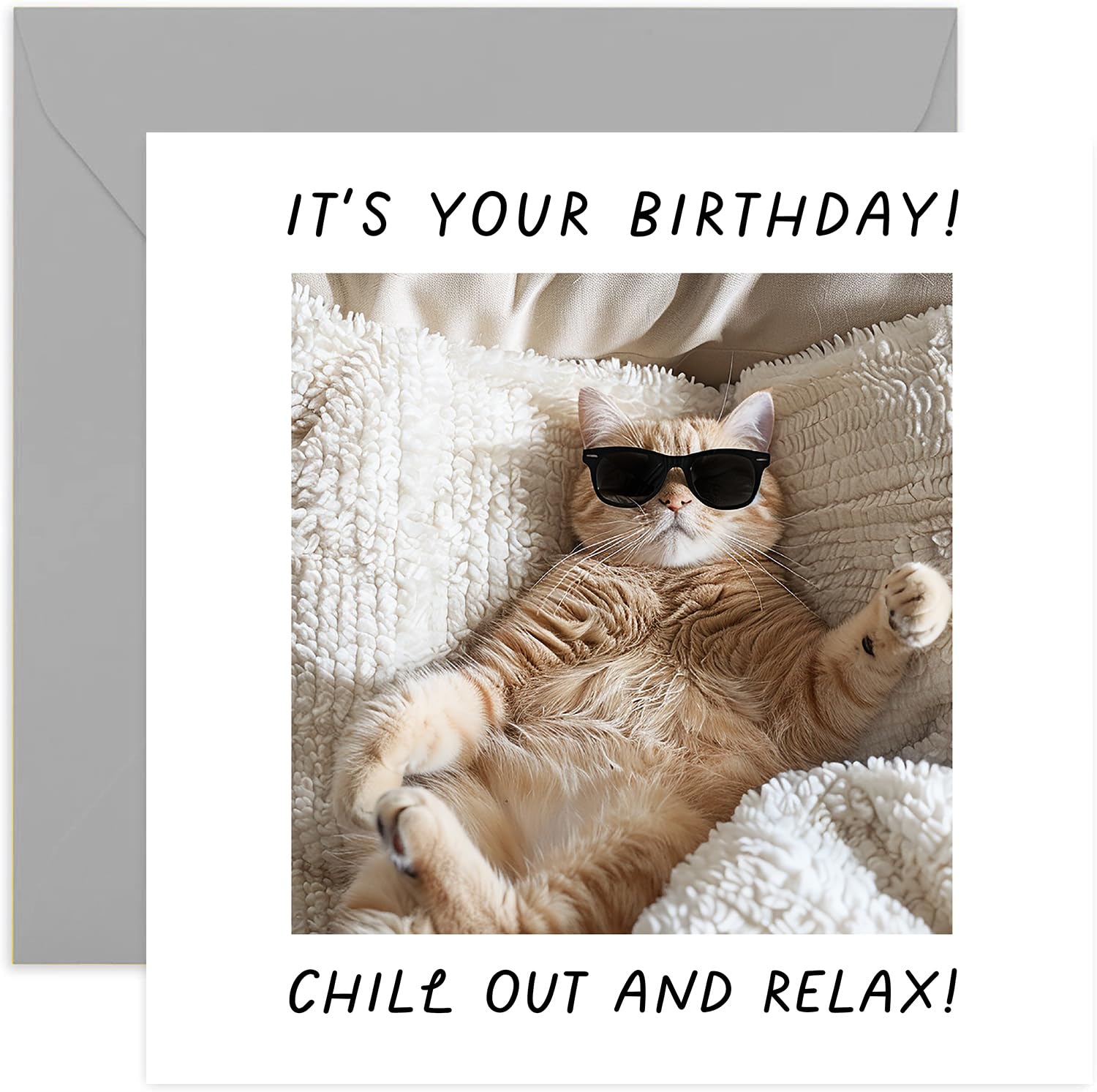 General Funny Female and Male Birthday Card - Chill Out and Relax Cat ...