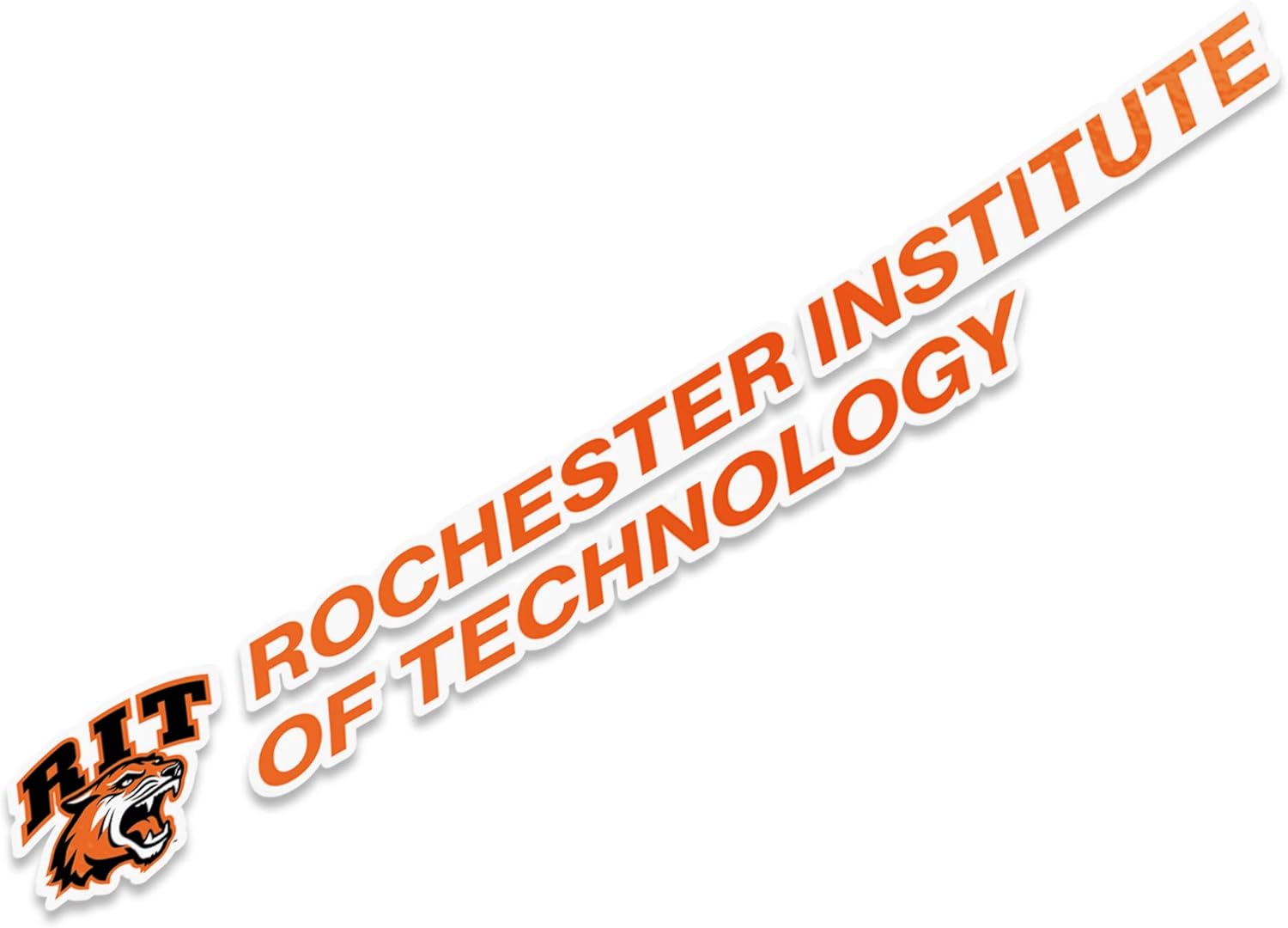 Amazon.com: Desert Cactus Rochester Institute of Technology RIT Tigers ...