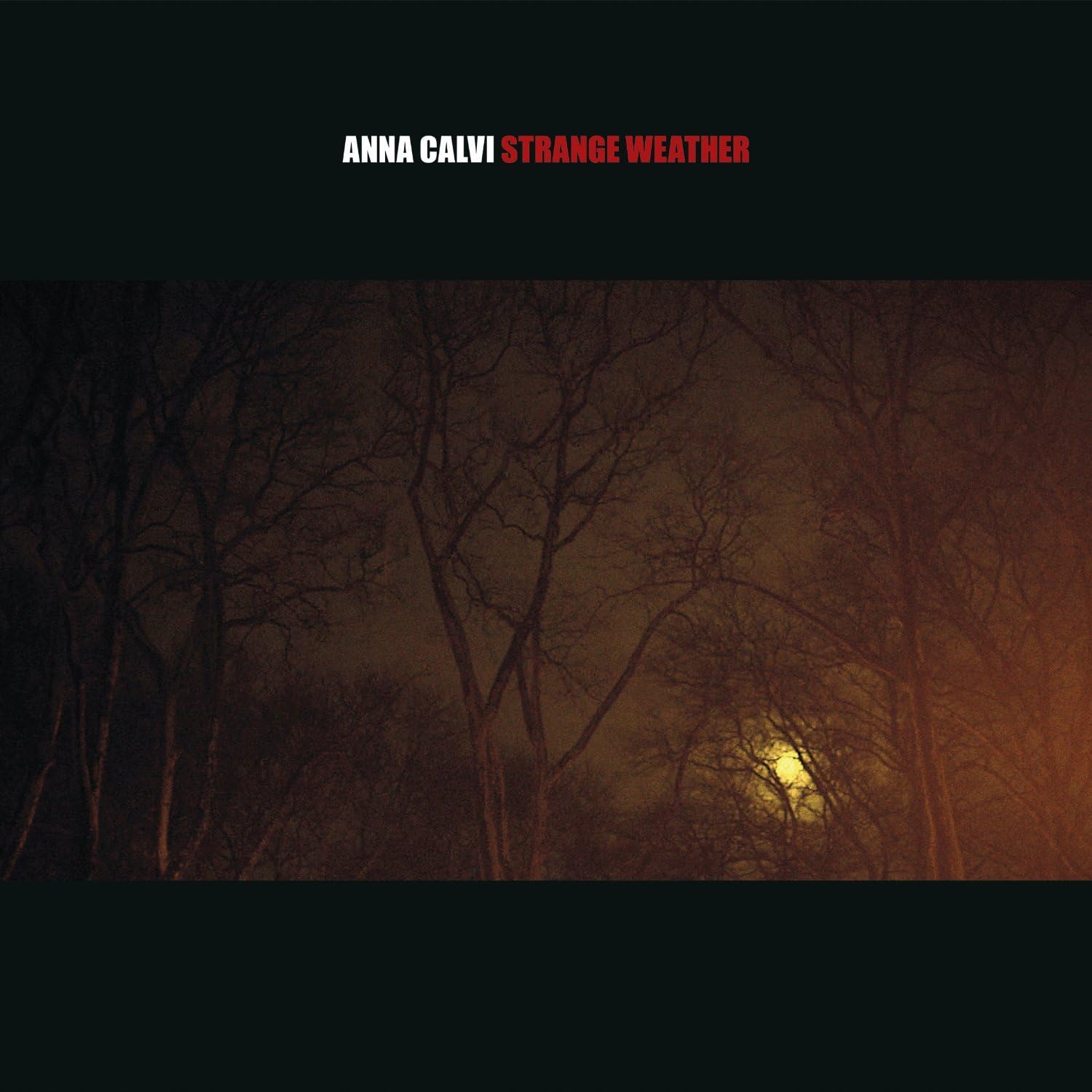 Strange Weather [Audio CD] by Calvi, Anna: Amazon.co.uk: CDs & Vinyl