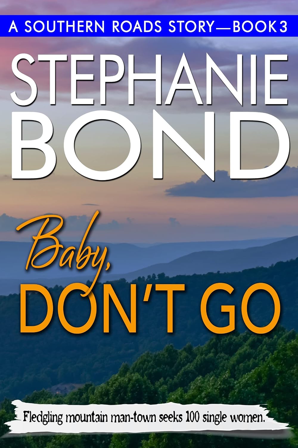 BABY, DON'T GO: A Southern Roads Trilogy: Southern Roads, Book 3 ...