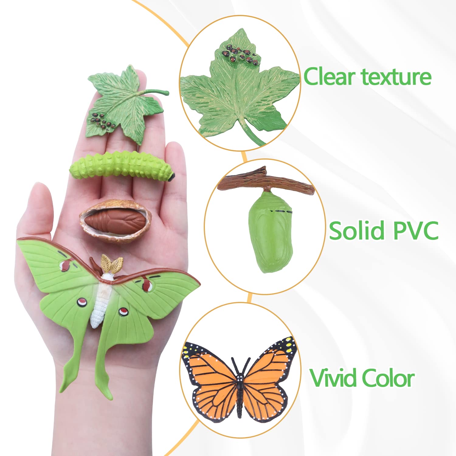 SIENON 4pcs Butterfly Life Cycle Toy Figurines and 4pcs Actias ...