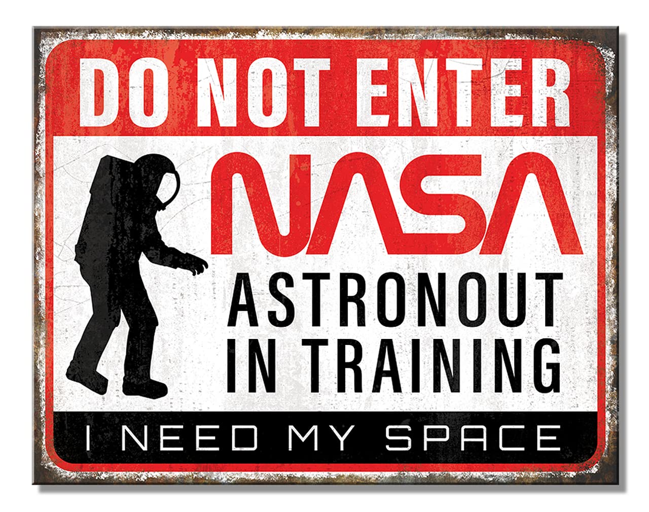 Nasa Space Memorabilia Values