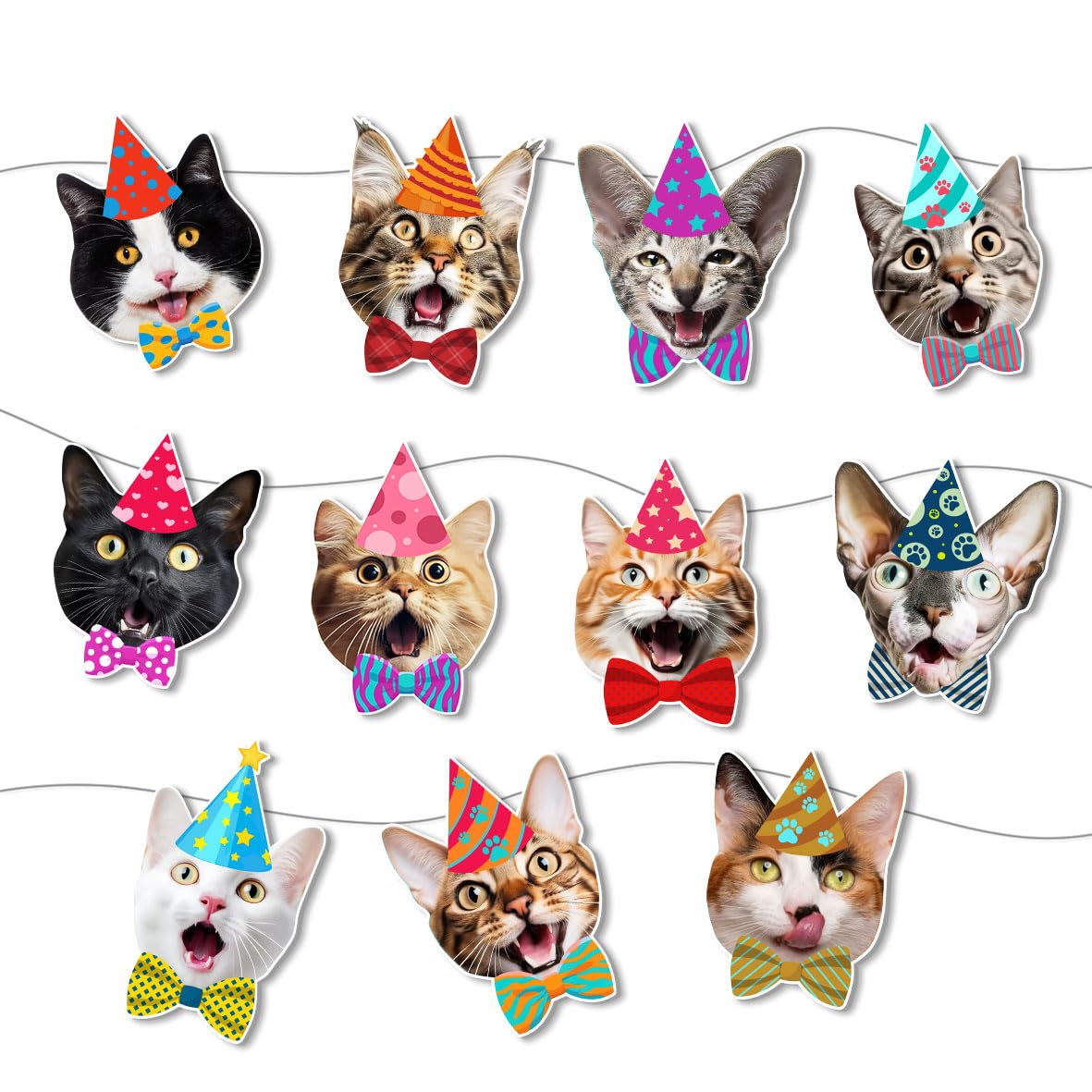 Amazon.com: Cat-Themed Happy Birthday Banner - Colorful and Fun Party ...