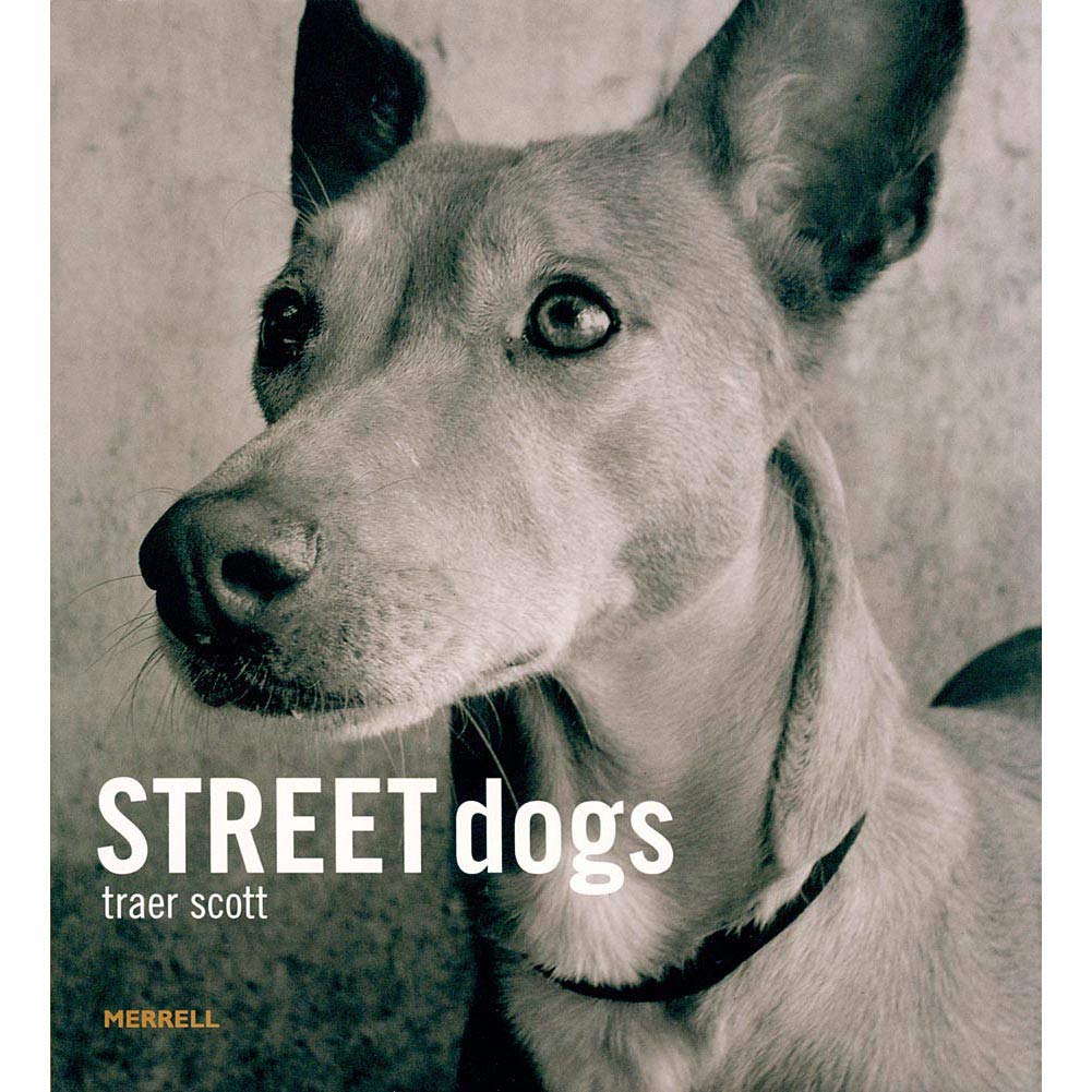 Street Dogs: Scott, Traer: 9781858944081: Amazon.com: Books