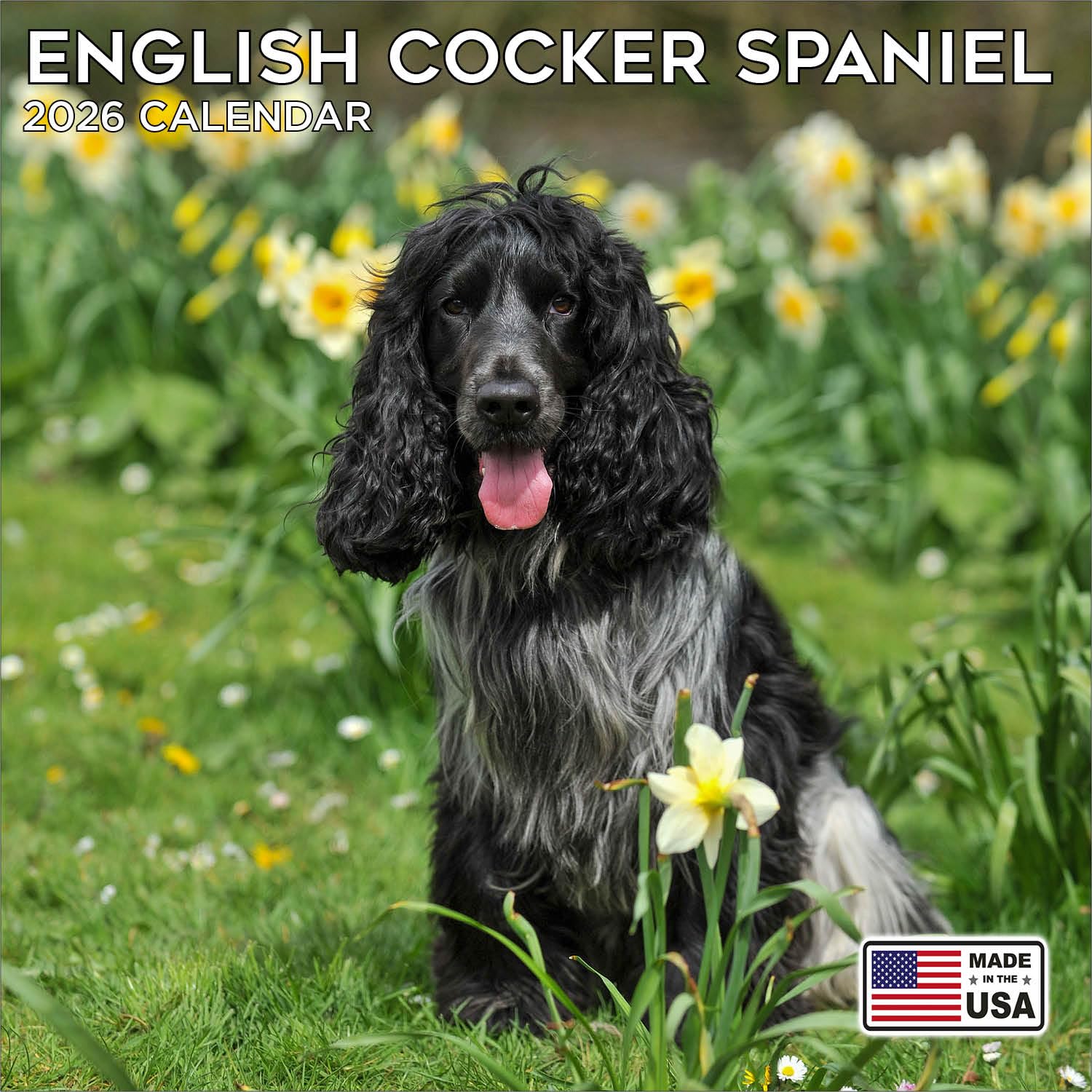 2026 English Cocker Spaniel Calendar - Dog Breed Wall Calendar - 12 x ...