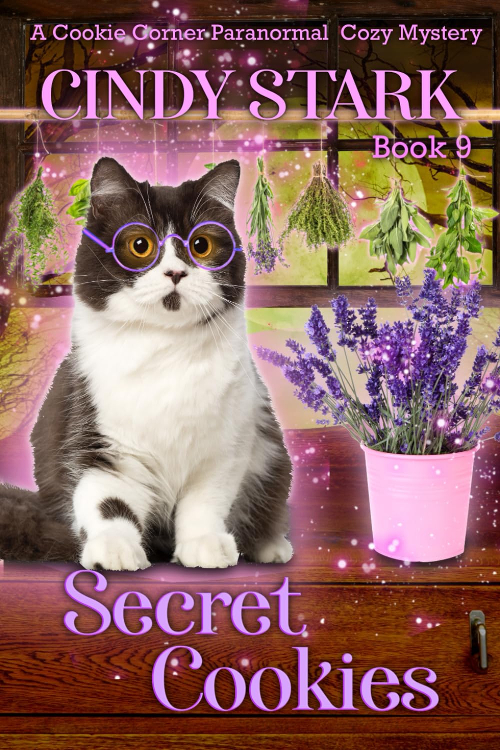 Amazon.com: Secret Cookies: A Paranormal Cozy Mystery (Cookie Corner ...
