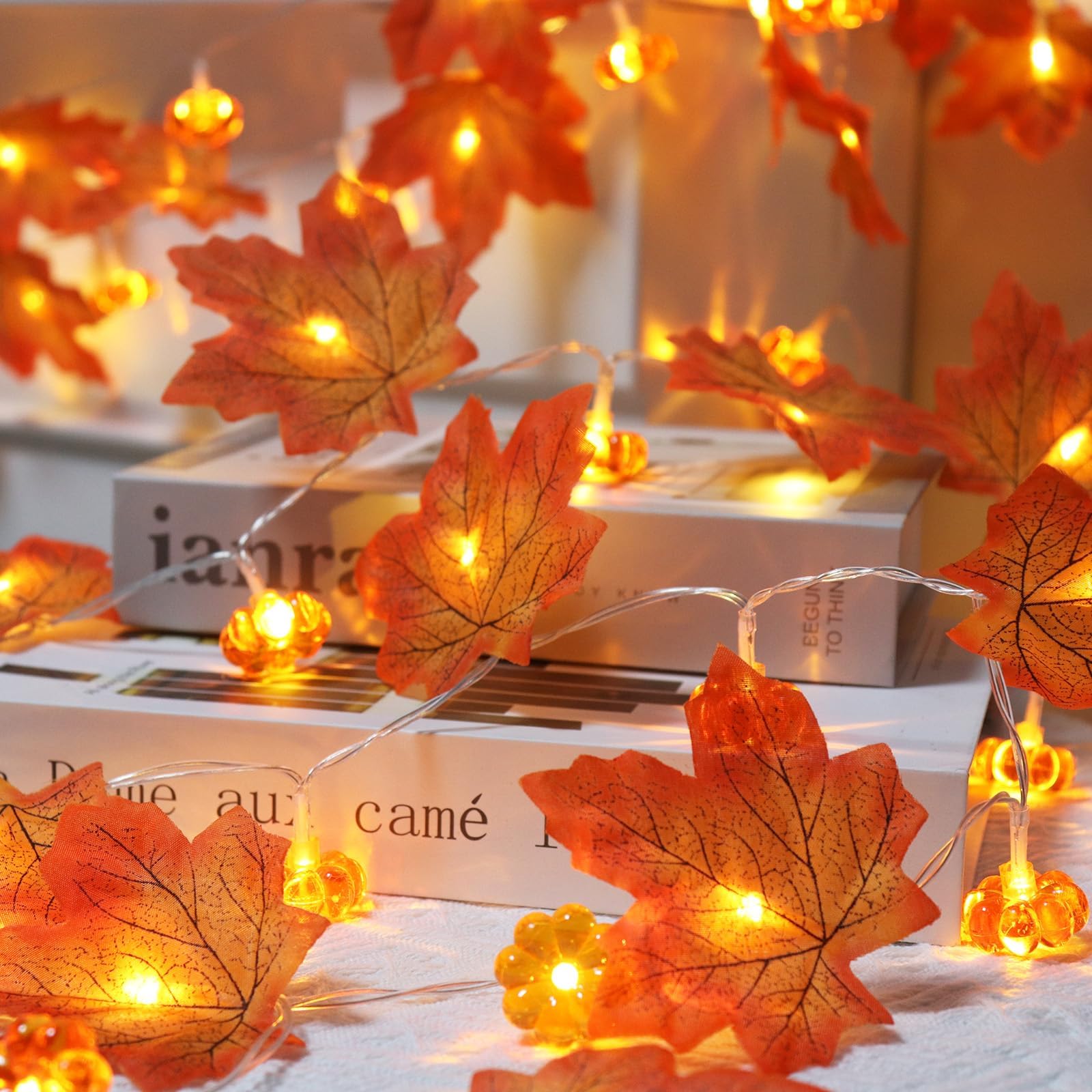 Amazon.com: TURNMEON 10 Ft 30 LED Thanksgiving Turkey Lights ...