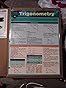 Trigonometry (Quick Study Academic): ExpoLog, LLC: 9781423233220 ...