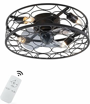 Amazon.com: ILAHUI 21'' Caged Ceiling Fan with Lights Remote Control ...