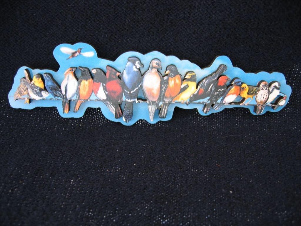 Amazon.com: Songbird Essentials Magnet, Chorus Line/10 Pack : Home ...