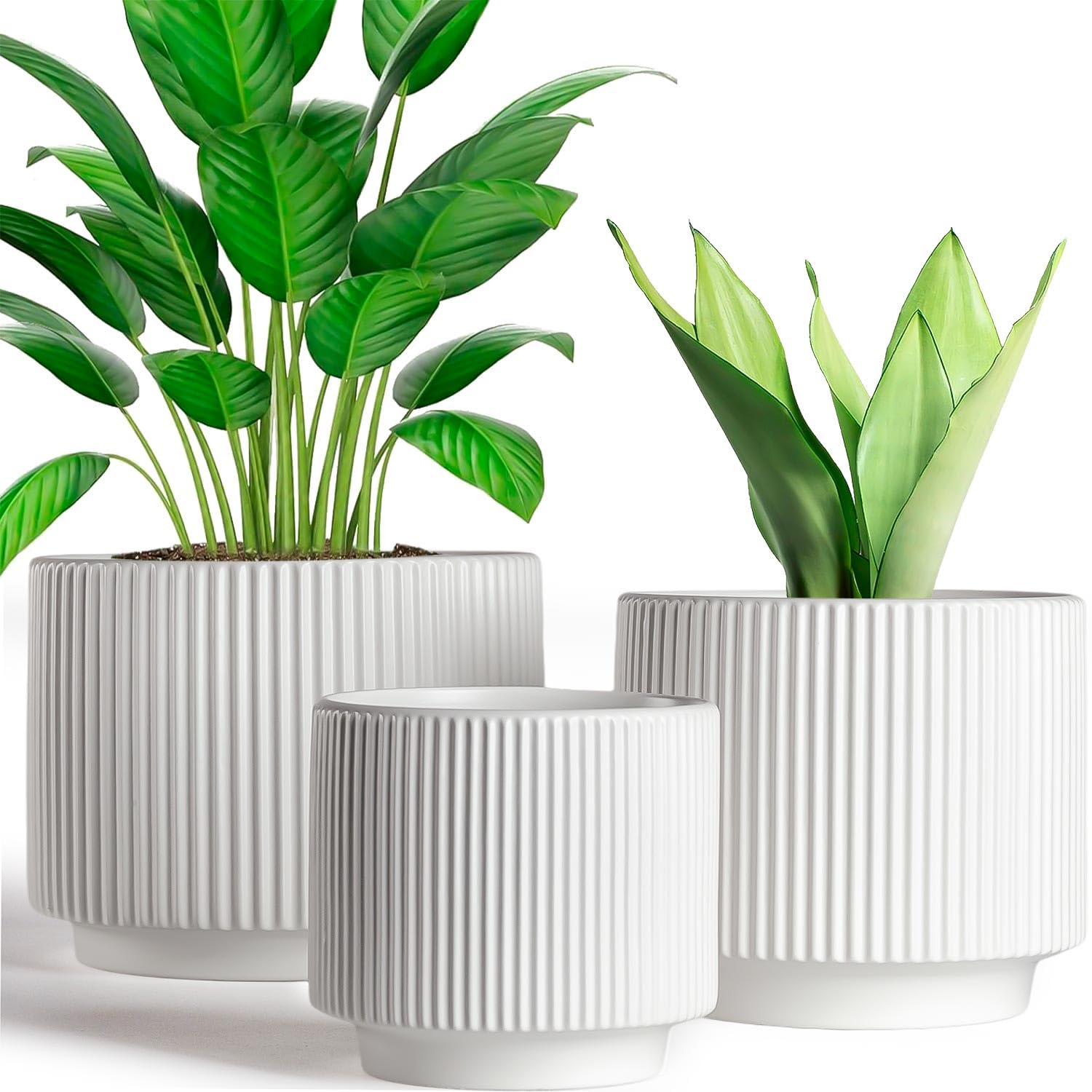 White Ceramic Planter Pots Varen Set Of 2 Fern Plant Pots White
