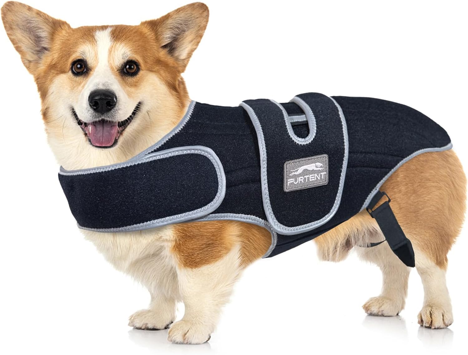 Amazon.com : Furtent Back Bracer in Large Dogs for IVDD, Arthritis ...