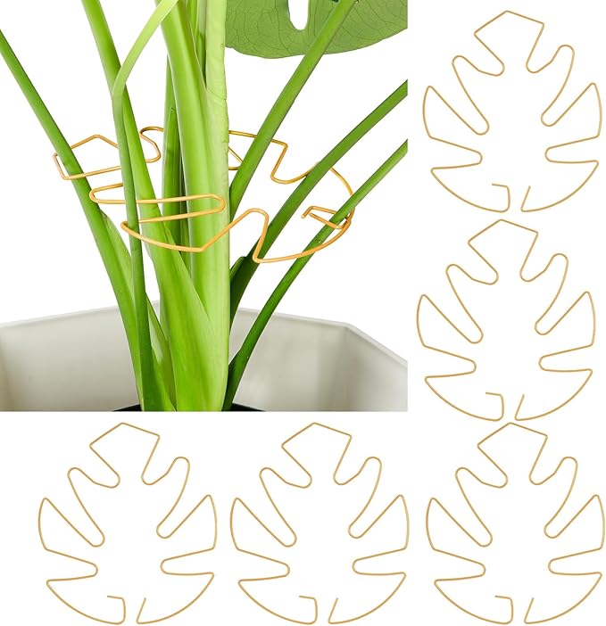Amazon.com : Plant Support Clips - 5-Pack of 7.52x6.65 Inch Indoor ...