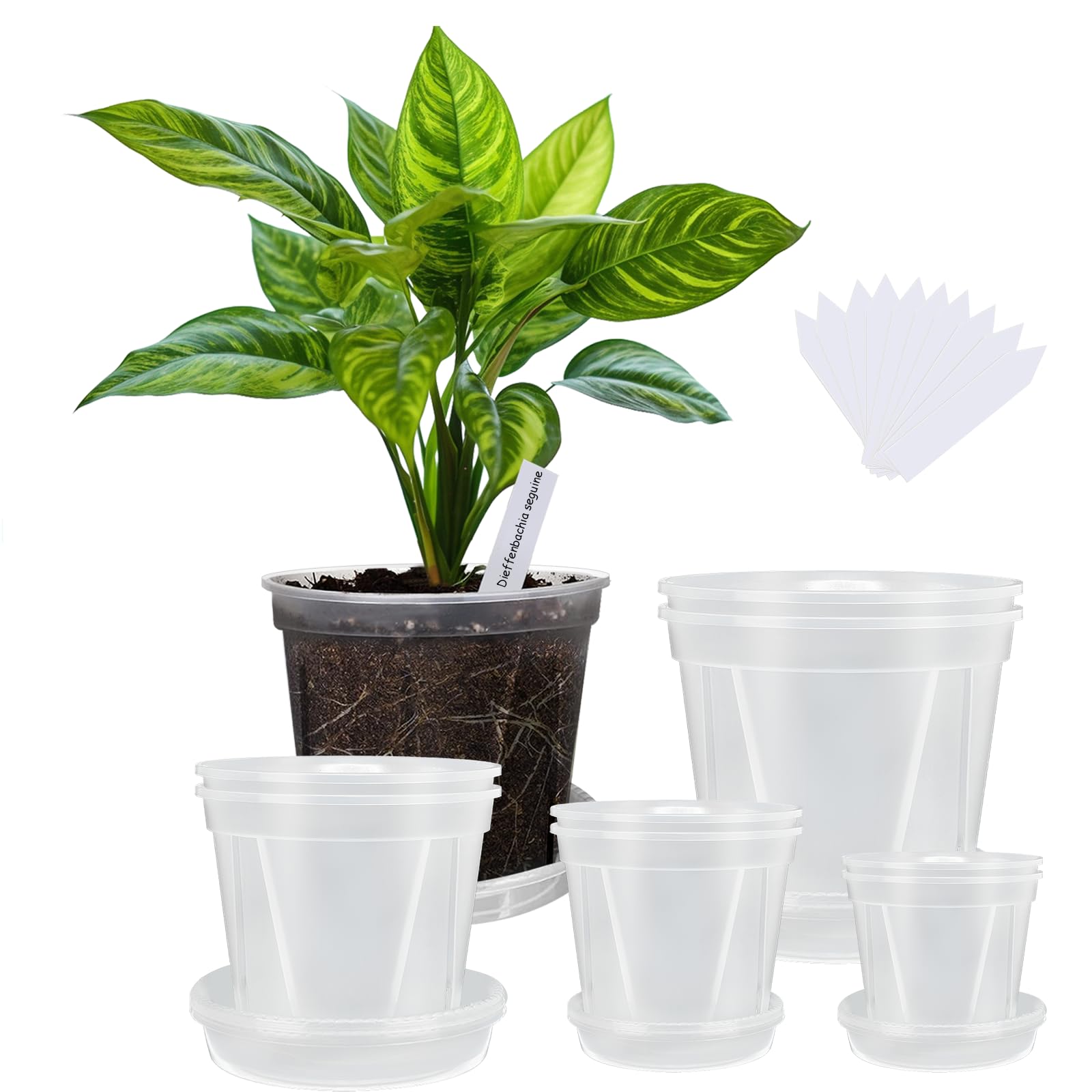 Amazon.com: YALIOURS Clear Nursery Pots for Plants, 4/5/6/7 inch ...