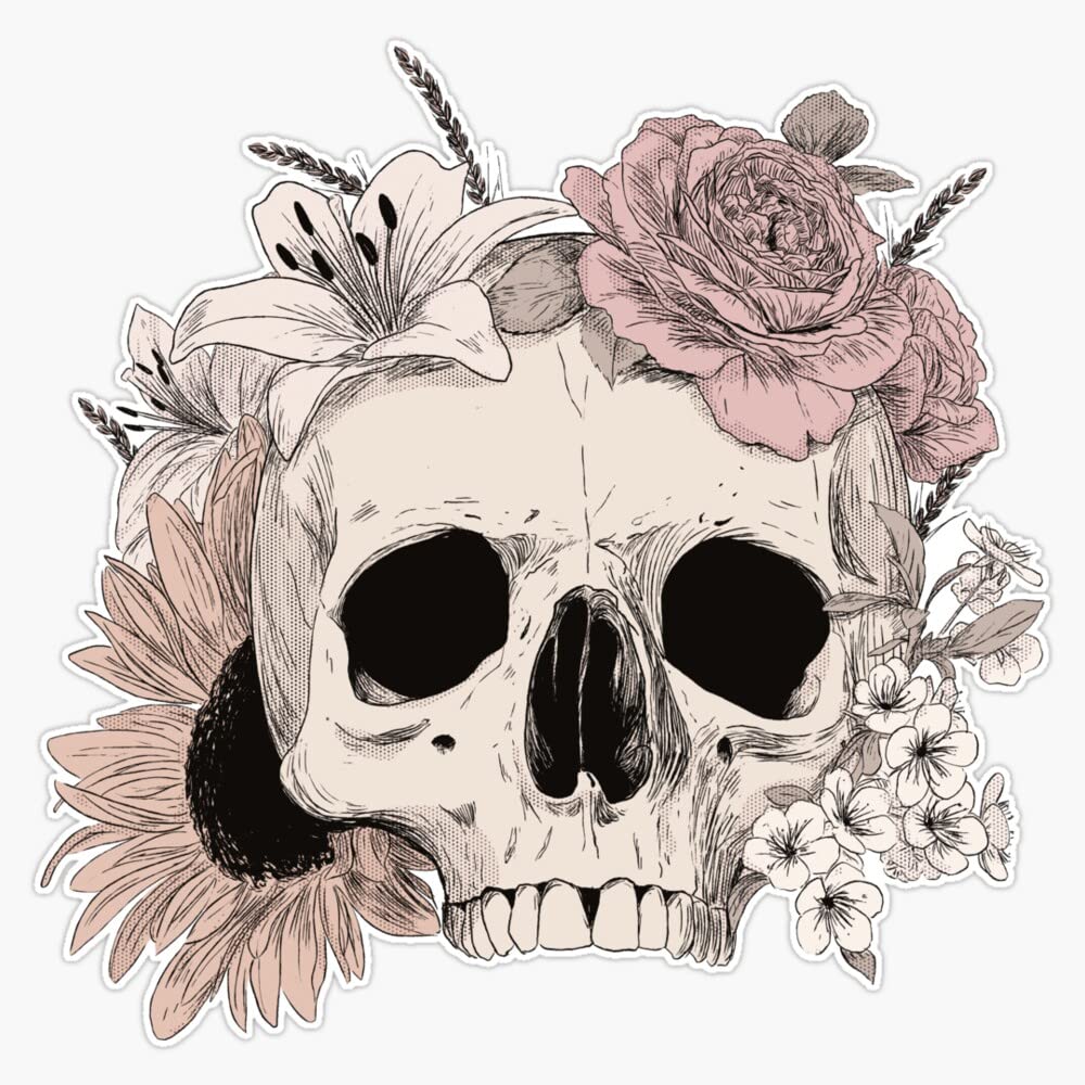 Amazon.com: Skull Sticker Bumper Sticker Vinyl Decal 5" : Sports & Outdoors