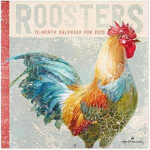 Amazon.com: Roosters 2020 Wall Calendar : Office Products