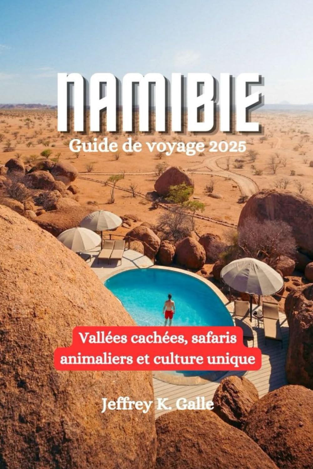NAMIBIE Guide de voyage 2025: Vallées cachées, safaris animaliers et ...