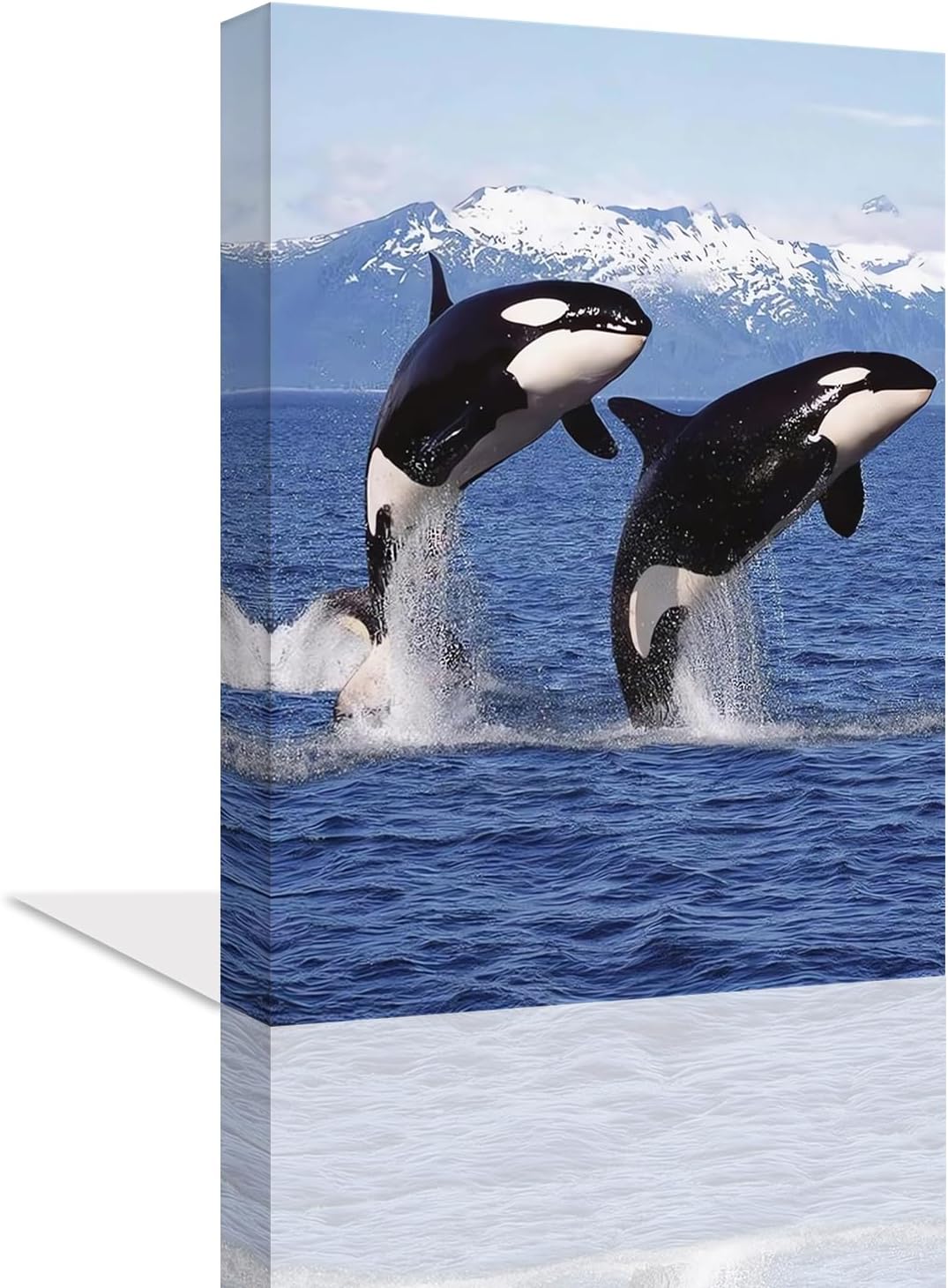 Amazon.com: Generic Killer Whale Orca Poster Prints - Vibrant Stunning ...