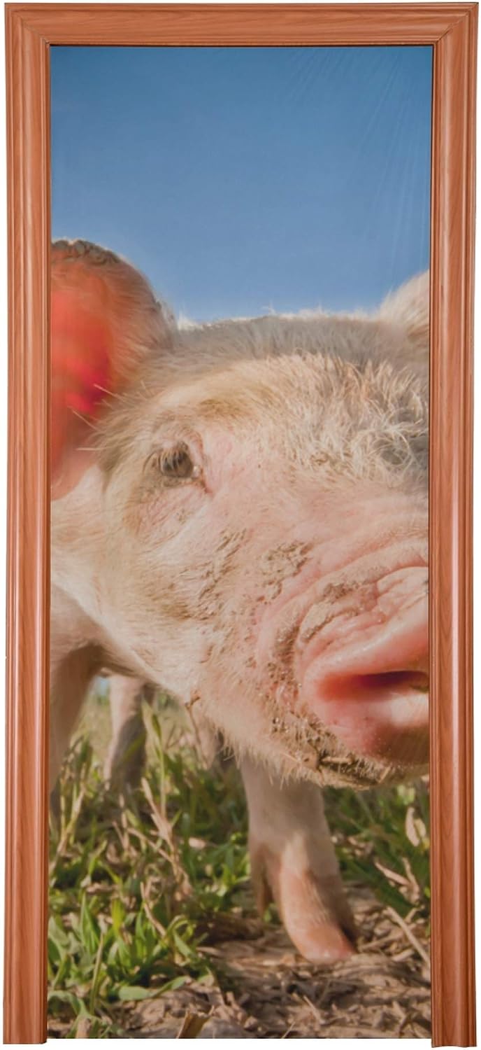 Amazon.com: Door Decor Bedroom Cute Little Pink Pig House Front Door ...